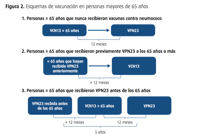 Neumococo [cepem Información Sobre Vacunas ]